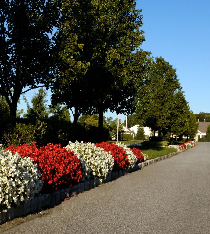 Commercial Snow Removal & Landscaping | Tovar