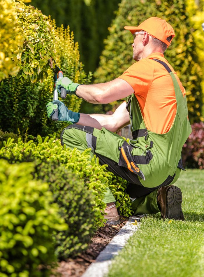 Snow Removal Jobs | Tovar Snow